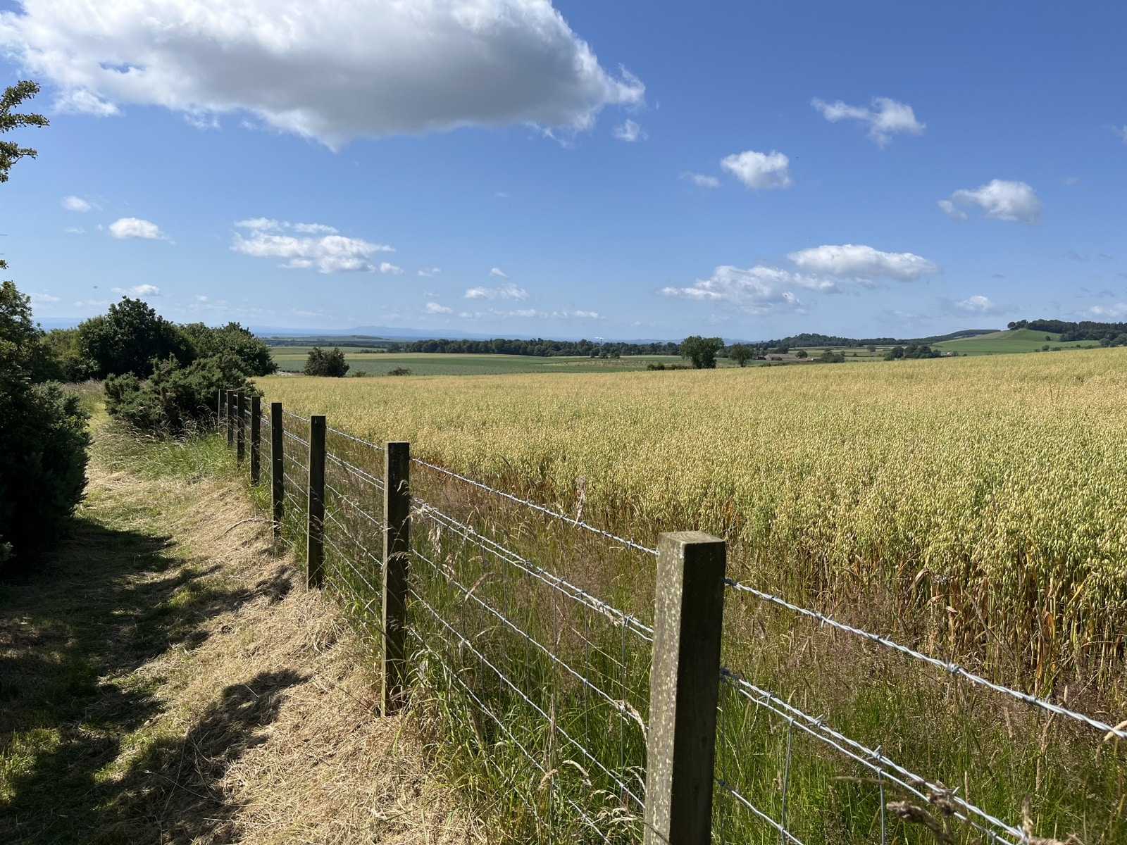 Gillingshill Reservoir & Nature Reserve, Arncroach, Anstruther, Fife ...