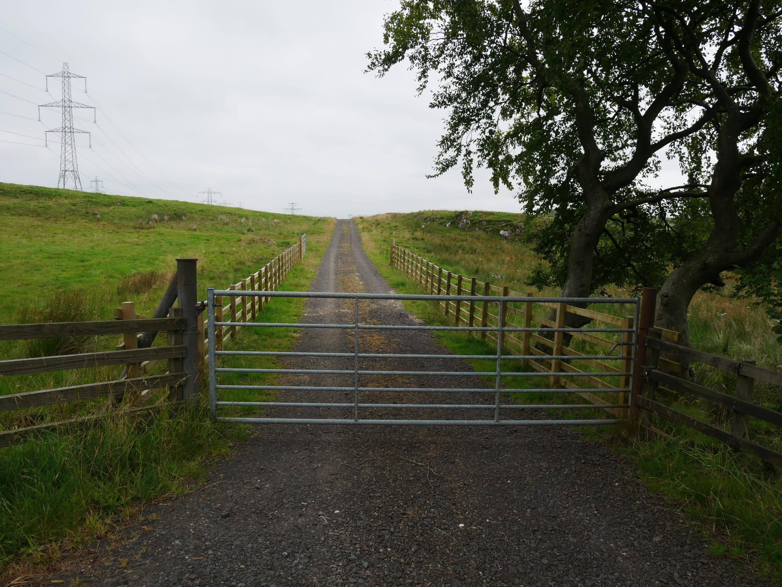 Giving clients the inside track on planning - Bell Ingram - Rural ...